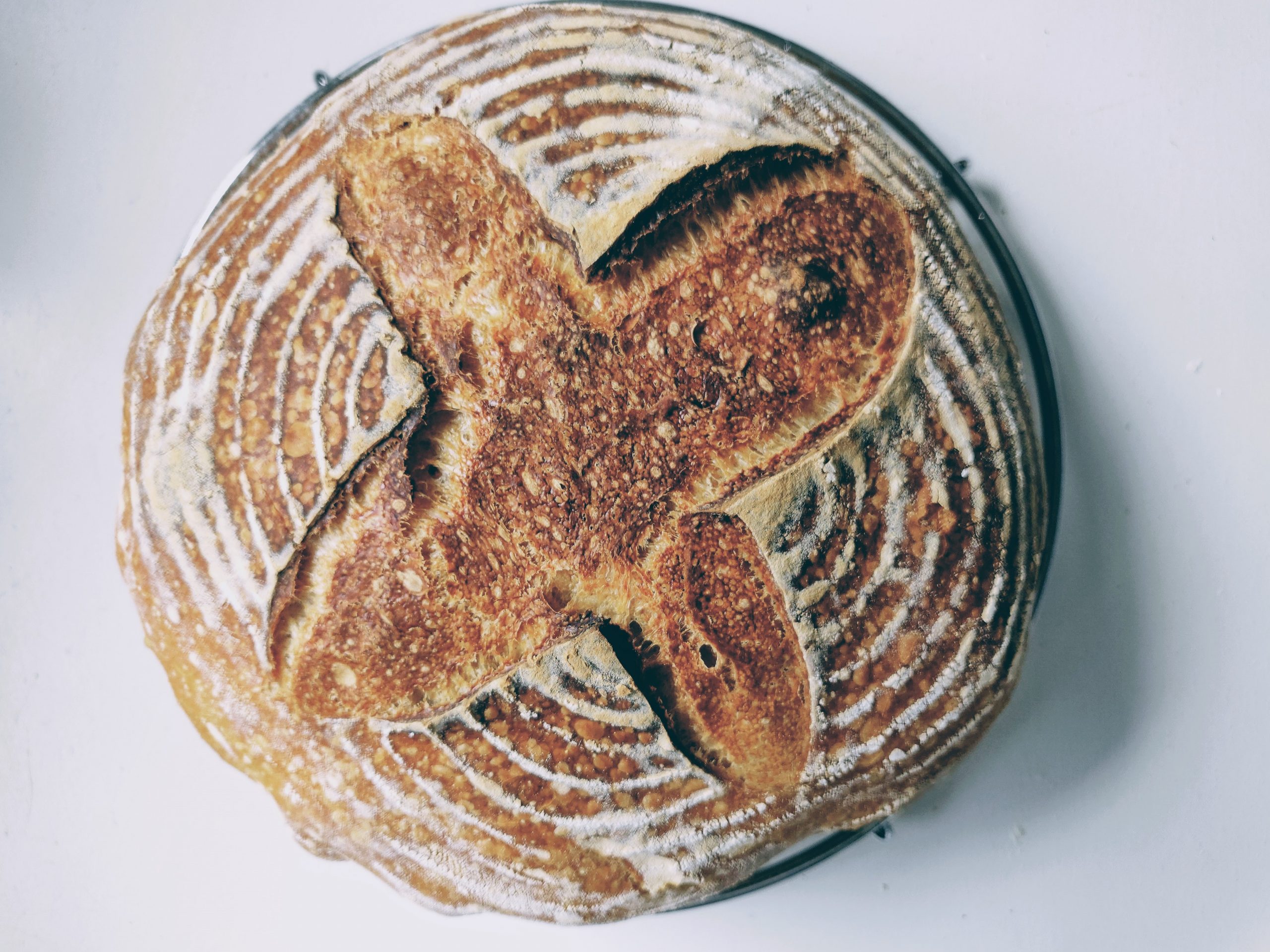 Bel kruh z drožmi: bel kot moka - brez kvasa - Recepti